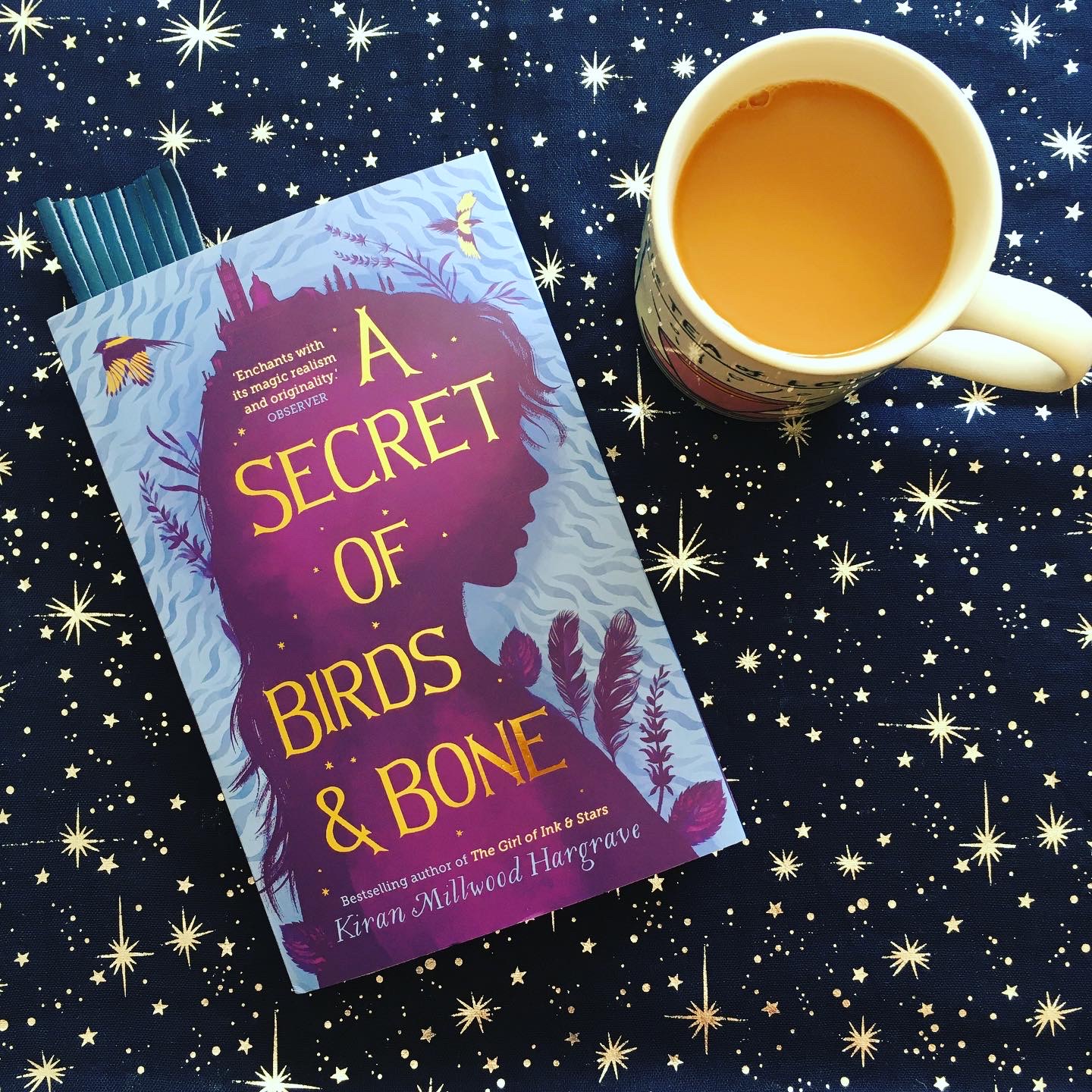 Book Review: A Secret of Birds and Bone