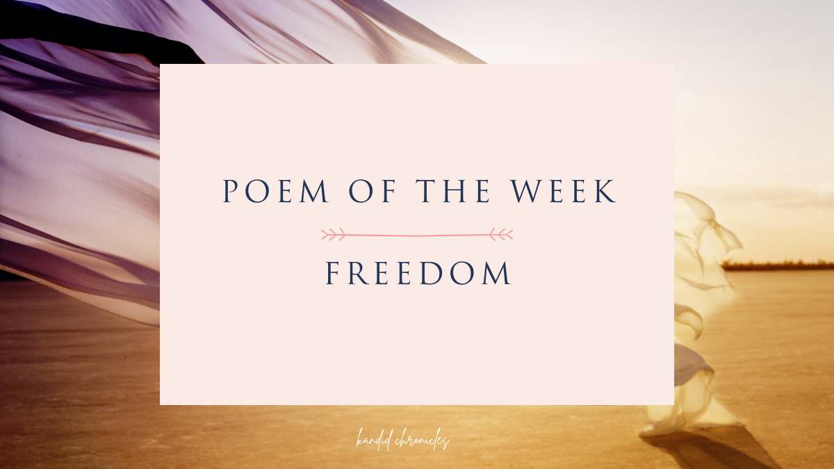 Freedom Poems Quotes Flight Into Freedom | Poetry Joy