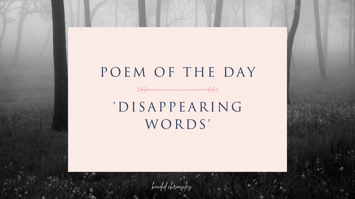 NaPoWriMo 2022 – Poem of the Day: Disappearing Words